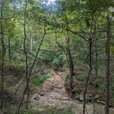 Red Cedar Trail, Illinois - 543 Reviews, Map | AllTrails
