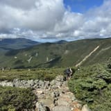Zealand Bonds Traverse, New Hampshire - 780 Reviews, Map | AllTrails