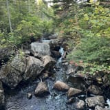 Zealand Bonds Traverse, New Hampshire - 780 Reviews, Map | AllTrails