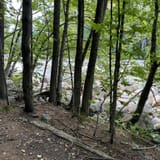 Zealand Bonds Traverse, New Hampshire - 780 Reviews, Map | AllTrails