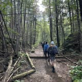 Zealand Bonds Traverse, New Hampshire - 780 Reviews, Map | AllTrails