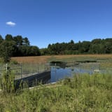 Moosup Valley Trail, Connecticut - 223 Reviews, Map | AllTrails