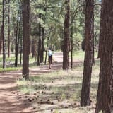 Mars Hill Trail Loop, Arizona - 2,030 Reviews, Map | AllTrails