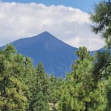Mars Hill Trail Loop, Arizona - 2,030 Reviews, Map | AllTrails