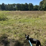 Barber Reservation Loop, Massachusetts - 141 Reviews, Map | AllTrails