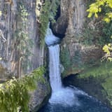 Toketee Falls, Oregon - 2,433 Reviews, Map | AllTrails