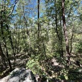 Kings Chair Loop, Alabama - 2,407 Reviews, Map | AllTrails