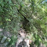 Kings Chair Loop, Alabama - 2,407 Reviews, Map | AllTrails