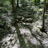 Kings Chair Loop, Alabama - 2,407 Reviews, Map | AllTrails