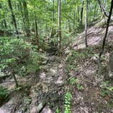 Kings Chair Loop, Alabama - 2,407 Reviews, Map | AllTrails