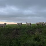 Castleton, Mam Tor, and The Great Ridge Loop, Derbyshire, England ...