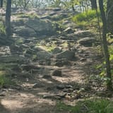 Reeves Brook Loop Trail, New York - 4,998 Reviews, Map | AllTrails