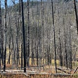 Bacon Rind Creek Trail, Montana - 96 Reviews, Map | AllTrails