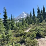 McNeil Point Trail, Oregon - 3,327 Reviews, Map | AllTrails