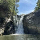 Elk River Falls Trail, North Carolina - 728 Reviews, Map | AllTrails
