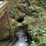 Cave Spring Loop Trail, Missouri - 401 Reviews, Map | AllTrails