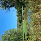 The '400' State Trail, Wisconsin - 144 Reviews, Map | AllTrails