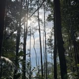 Mount Angsi, Negeri Sembilan, Malaysia - 1,048 Reviews, Map | AllTrails