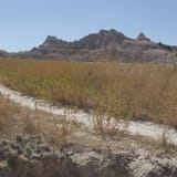 Castle Trail to Medicine Root Loop, South Dakota - 685 Reviews, Map ...