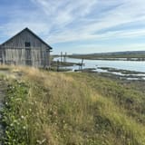 Padilla Bay Trail, Washington - 659 Reviews, Map | AllTrails