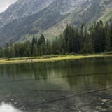 String Lake Trail, Wyoming - 2,555 Reviews, Map | AllTrails
