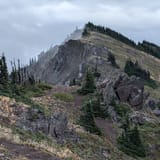 Klahhane Ridge Trail to Lake Angeles, Washington - 277 Reviews, Map ...
