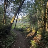 Mima Falls Loop, Washington - 1,730 Reviews, Map | AllTrails