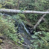 Mima Falls Loop, Washington - 1,730 Reviews, Map | AllTrails