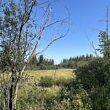 Glenmore Reservoir Loop, Alberta, Canada - 3,068 Reviews, Map | AllTrails