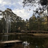 Taggerty River Lookout Loop, Victoria, Australia - 67 Reviews, Map ...