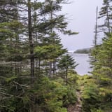 Mount Nancy via Nancy Pond Trail, New Hampshire - 202 Reviews, Map ...