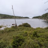 Mount Nancy via Nancy Pond Trail, New Hampshire - 202 Reviews, Map ...