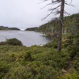 Mount Nancy via Nancy Pond Trail, New Hampshire - 202 Reviews, Map ...