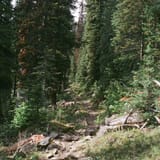 Iceline, Little Yoho Valley and Yoho Valley Trail Loop, British ...
