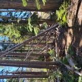 Grass Lake, California - 603 Reviews, Map | AllTrails