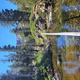 Grass Lake, California - 603 Reviews, Map | AllTrails