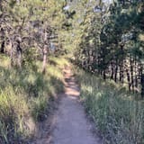 Sunshine Canyon Trail, Colorado - 733 Reviews, Map | AllTrails