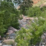 Parsons Trail, Arizona - 745 Reviews, Map | AllTrails