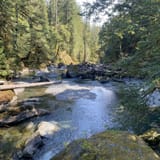 Staircase Rapids Loop, Washington - 3,077 Reviews, Map | AllTrails