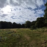 Savernake Forest Circular, Wiltshire, England - 126 Reviews, Map ...