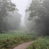 Lord Hill, Main Trail, and Temple Pond Loop Trail, Washington - 1,456 ...