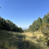 Spring Canyon Trail, Utah - 387 Reviews, Map | AllTrails