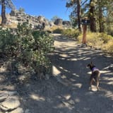 Tahoe Rim Trail to Picnic Rock Viewpoint, California - 3,719 Reviews, Map | AllTrails