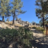 Tahoe Rim Trail to Picnic Rock Viewpoint, California - 3,629 Reviews, Map | AllTrails