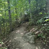 Lonesome Lake Trail, New Hampshire - 4,139 Reviews, Map | AllTrails