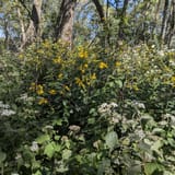 Ice Age Trail: Blue Spring Lake Segment, Wisconsin - 602 Reviews, Map ...