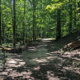 Aman Park Loop, Michigan - 1,677 Reviews, Map | AllTrails
