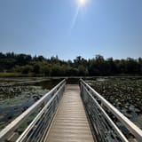 Minto-Brown Island Park, Oregon - 914 Reviews, Map | AllTrails