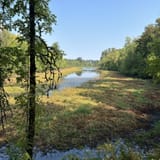 Minto-Brown Island Park, Oregon - 914 Reviews, Map | AllTrails