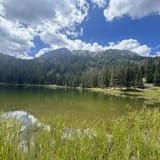 Middle Fork Lake Trail, New Mexico - 1,080 Reviews, Map | AllTrails